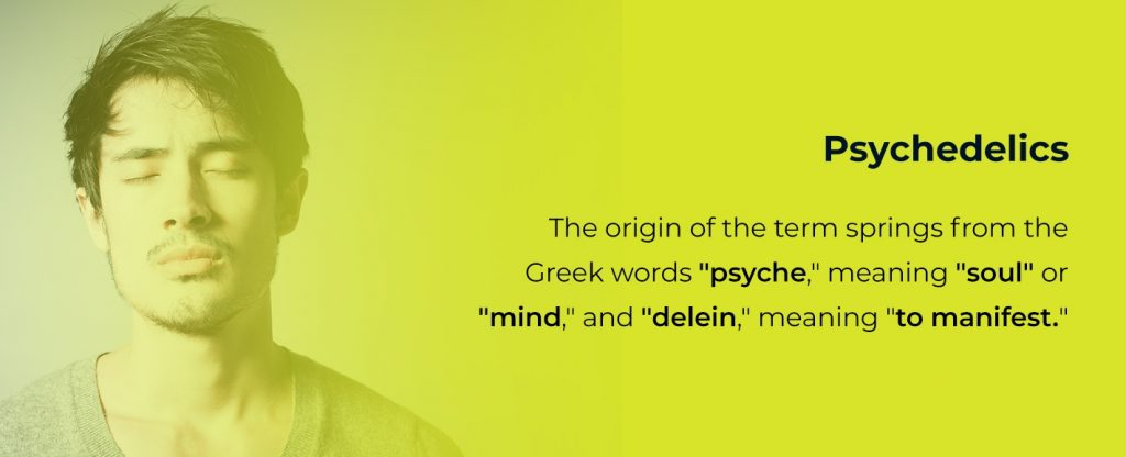 Types of Hallucinogens and Tripping - Hallucinogen Guide