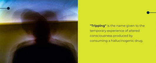 Types of Hallucinogens and Tripping - Hallucinogen Guide