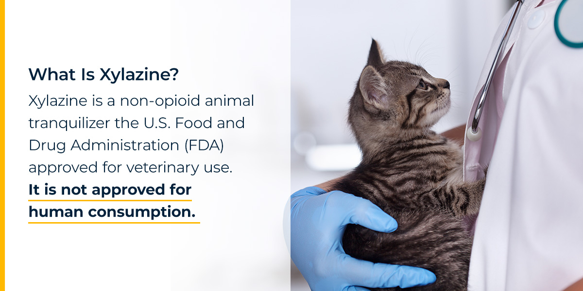 What Is Xylazine, and Why Is Its Use Growing in Chicago?